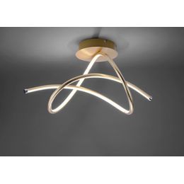 Leuchten Direkt VIOLETTA Deckenleuchte LED Gold, 1-flammig