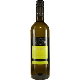 Burda Weine Gols Muskat Ottonel Muskat-Ottonel 2019 Halbtrocken - Burgenland &ndash; Wei&szlig;wein Qualit&auml;tswein