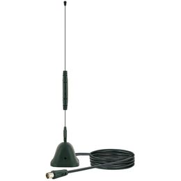 Schwaiger ANT01DTP 031 Stabantenne