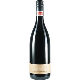 Weingut Lentsch - Pinots vom Leithaberg Pinot Noir Leithakalk Blauer Sp&auml;tburgunder 2022 Trocken Burgenland &ndash; Rotwein Qualit&auml;tswein