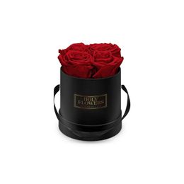 Kunstblume Runde Rosenbox in schwarz mit 4-5 Infinity Rosen I 3 Jahre haltbar Infinity Rose