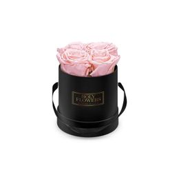 Kunstblume Runde Rosenbox in schwarz mit 4-5 Infinity Rosen I 3 Jahre haltbar Infinity Rose