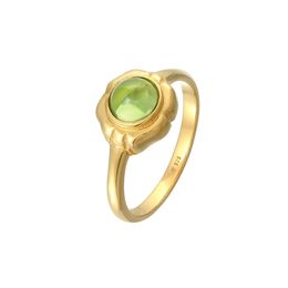 Elli Premium Ring Damen Gr&ouml;&szlig;e 54 gold / apfel