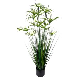 Kunstpflanze I.GE.A. "Zyperngras im Topf" Kunstpflanzen Gr. B/H: 35 cm x 120 cm, grün Künstliche Zimmerpflanzen