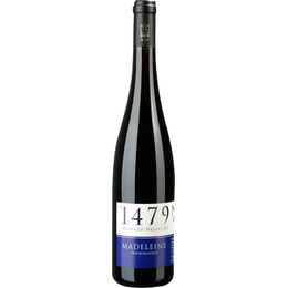 Weingut Nelles Nelles 2022 Pinot Madeleine trocken