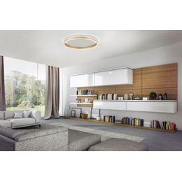 Paul Neuhaus Q-VITO Deckenleuchte LED Messing, 1-flammig, Fernbedienung