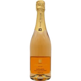 Georg Müller Stiftung 2022 "Katharina "Spätburgunder Rosé brut