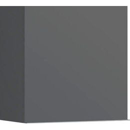Places of Style Hängevitrine Onyx mit Soft-Close-Funktion, wahlweise mit oder ohne Glaseinsatz, grau