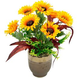 Gestecke Sonnenblumen Sonnenblume, I.GE.A., Höhe 40 cm, Im Topf aus Keramik, gelb