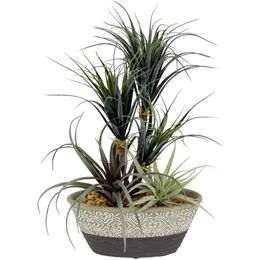 Kunstpflanze Dracena/Tillandsia Dracena Tillandsia, I.GE.A., Höhe 31 cm, Im Übertopf aus Keramik, grün