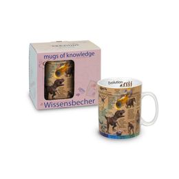 Könitz Könitz Becher Evolution Wissensbecher Englisch im Geschenkkarton