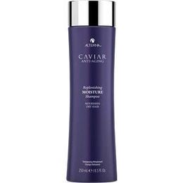 Alterna Caviar Moisture Replenishing Moisture Shampoo