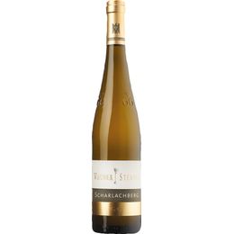 weingut wagner-stempel WirWinzer Spezial 2018 Scharlachberg Riesling GG trocken BIO