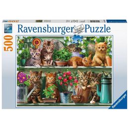 Ravensburger Puzzle »Katzen im Regal