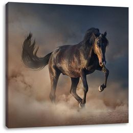 Pixxprint Leinwandbild Schwarzes Pferd