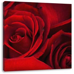 Pixxprint Leinwandbild rote Rosen