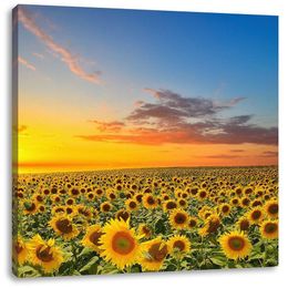 Pixxprint Leinwandbild Sonnenuntergang Sonnenblumen