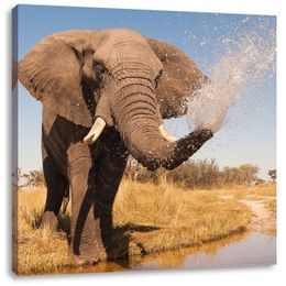 Pixxprint Leinwandbild schöner Elefant spritzt mit Wasser