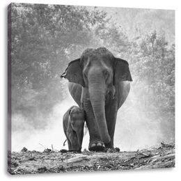 Pixxprint Leinwandbild Elefanten Baby Mama