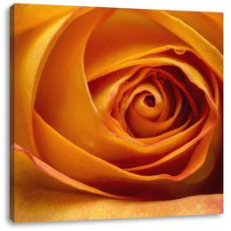 Pixxprint Leinwandbild Anmutige gelbe geschlossene Rose