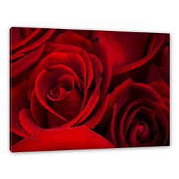 Pixxprint Leinwandbild rote Rosen