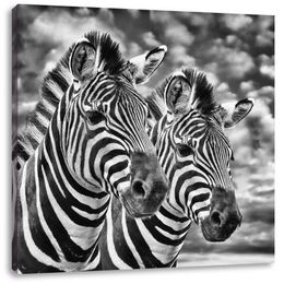 Pixxprint Leinwandbild Zebra Pärchen