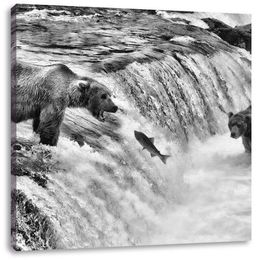 Pixxprint Leinwandbild Bären fangen Lachs