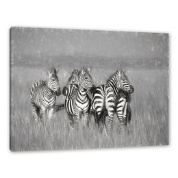 Pixxprint Leinwandbild Zebras in Savanne