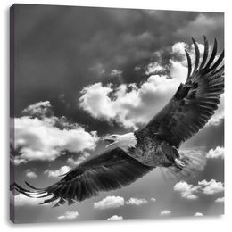 Pixxprint Leinwandbild Adler fliegt über Berge