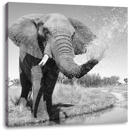 Pixxprint Leinwandbild Elefant spritzt mit Wasser