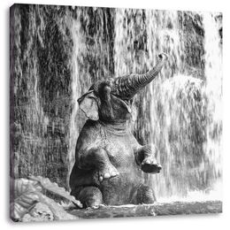 Pixxprint Leinwandbild Babyelefant am Wasserfall