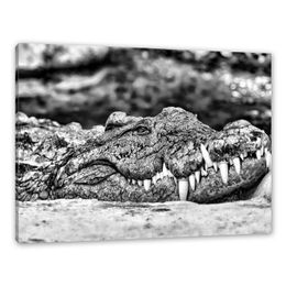 Pixxprint Leinwandbild gigantisches Krokodil