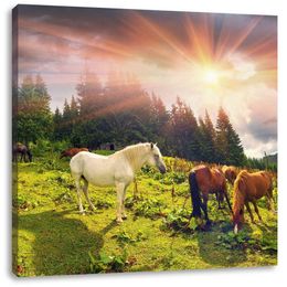 Pixxprint Leinwandbild Mustangs Pferde auf den Bergen
