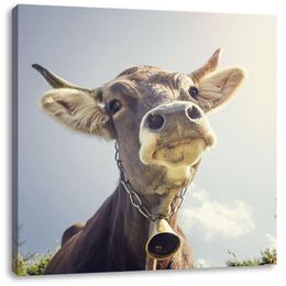 Pixxprint Leinwandbild Lustiges Portrait einer Kuh
