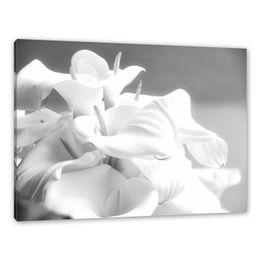 Pixxprint Leinwandbild weiße Calla Lilien Kunst B&W