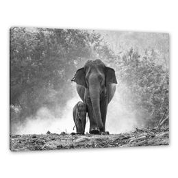 Pixxprint Leinwandbild Elefanten Baby Mama
