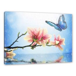 Pixxprint Leinwandbild Schmetterling mit Magnolien-Blüte
