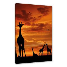 Pixxprint Leinwandbild Afrika Giraffen im Sonnenuntergang