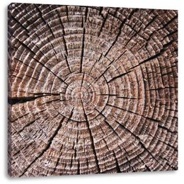 Pixxprint Leinwandbild Baumstamm Jahresringe