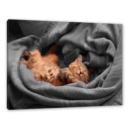 Pixxprint Leinwandbild bezaubernde schlafende Katze