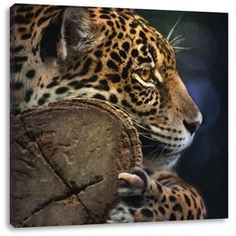 Pixxprint Leinwandbild Wunderschöner Leopard