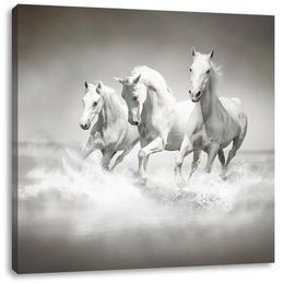 Pixxprint Leinwandbild Pferde rennen im Wasser