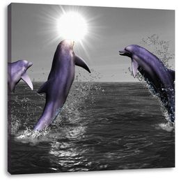 Pixxprint Leinwandbild Fröhliche Delfine springen im Meer