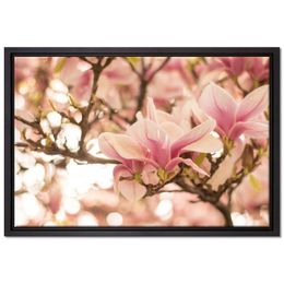 Pixxprint Leinwandbild Rosa Magnolienblüten im Frühling