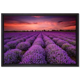Pixxprint Leinwandbild Wunderschöne Lavendel Provence