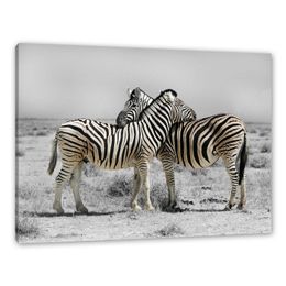 Pixxprint Leinwandbild Zebras in der Savanne