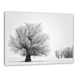 Pixxprint Leinwandbild Bäume im Schnee Nebel