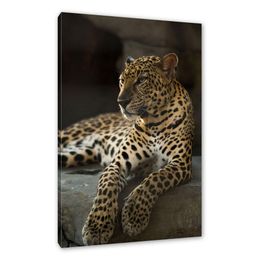 Pixxprint Leinwandbild Majestätischer Leopard