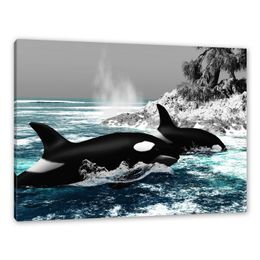 Pixxprint Leinwandbild schöne Orcas vor Insel