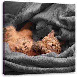 Pixxprint Leinwandbild bezaubernde schlafende Katze